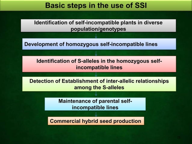 Ppt cole crops | PPTX | Gardening | Home & Garden