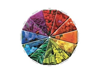 Ppt Color Wheel | PPT