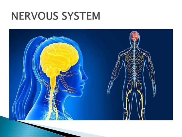 PPT_COMMON DISEASES OF NERVOUS SYSTEM.pptx