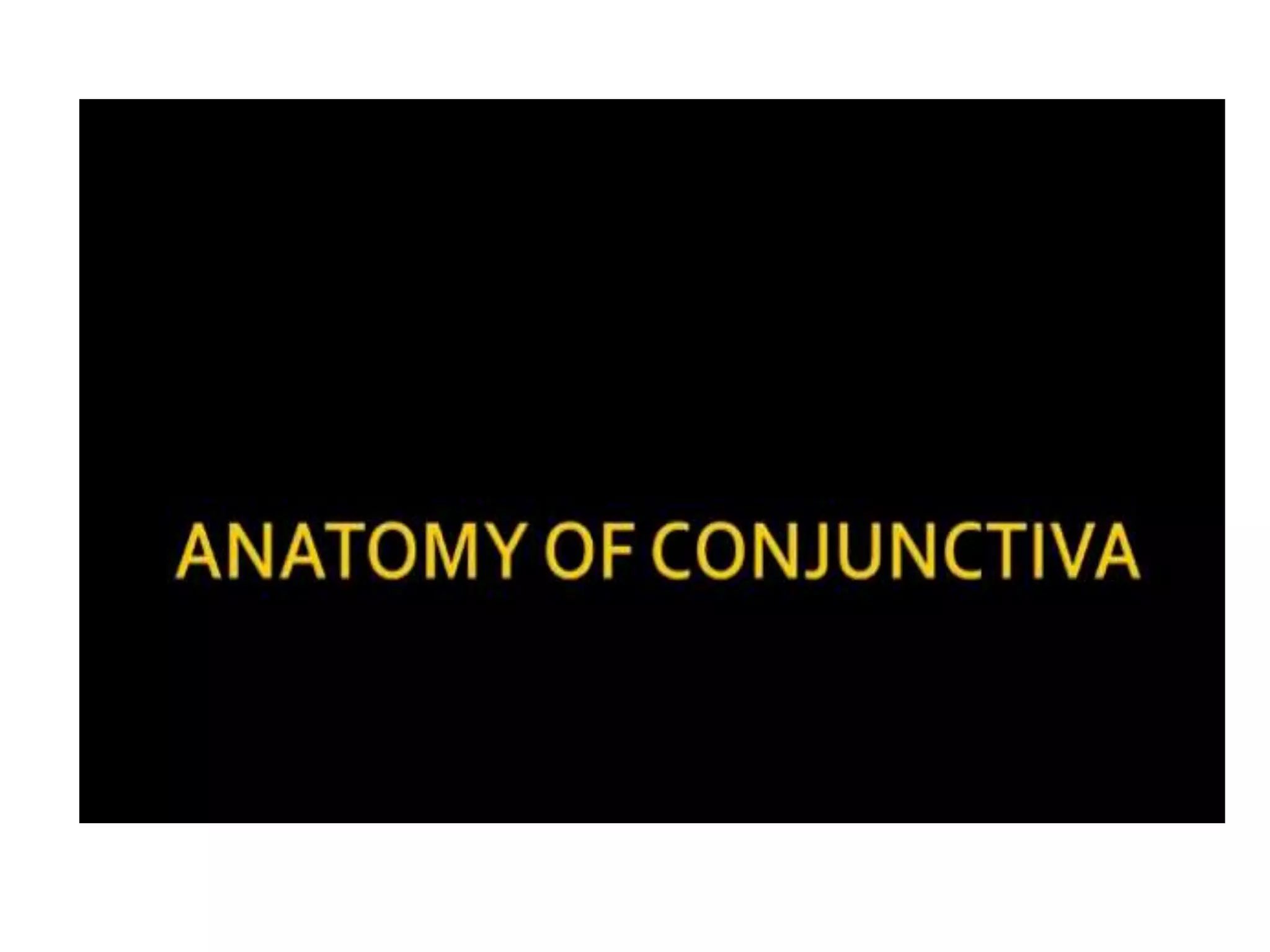 Conjunctiva Ppt