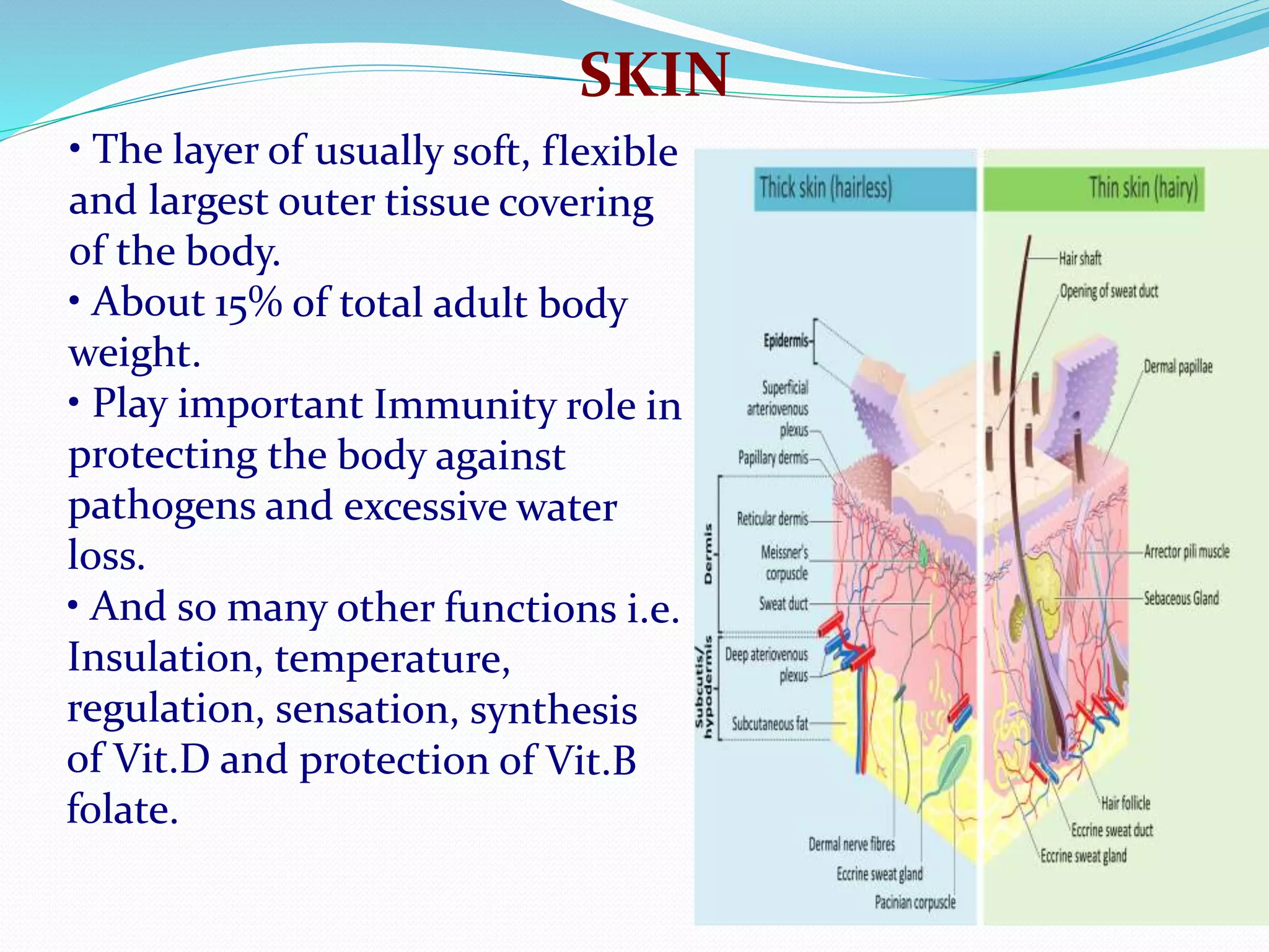 skin related problems [cosmeceutics] | PPTX