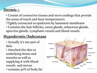 skin related problems [cosmeceutics] | PPTX