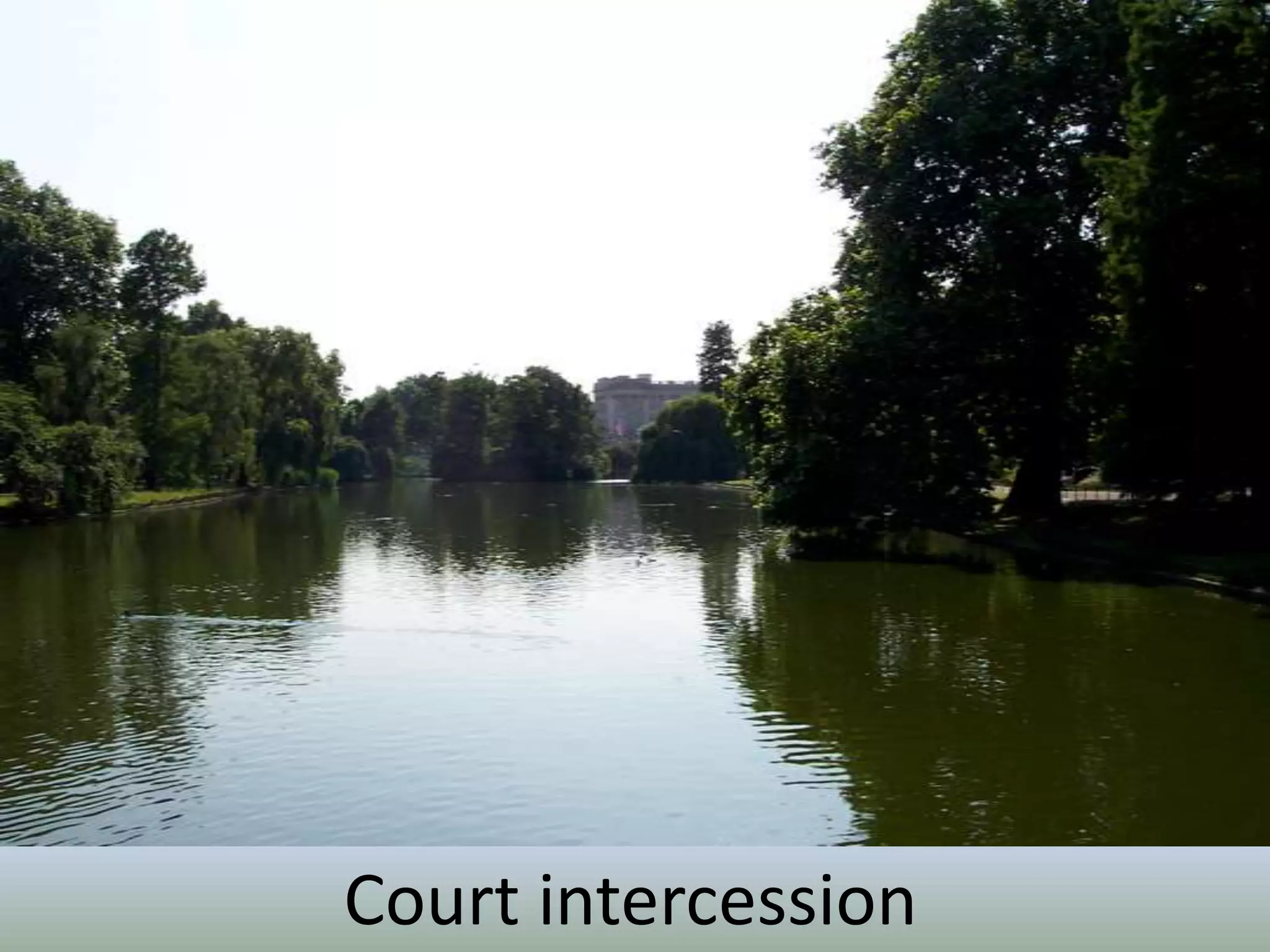 Court Intercession | PPT