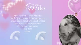 anthology of poems by claraaaaaaaaaaaaaaa | PPT