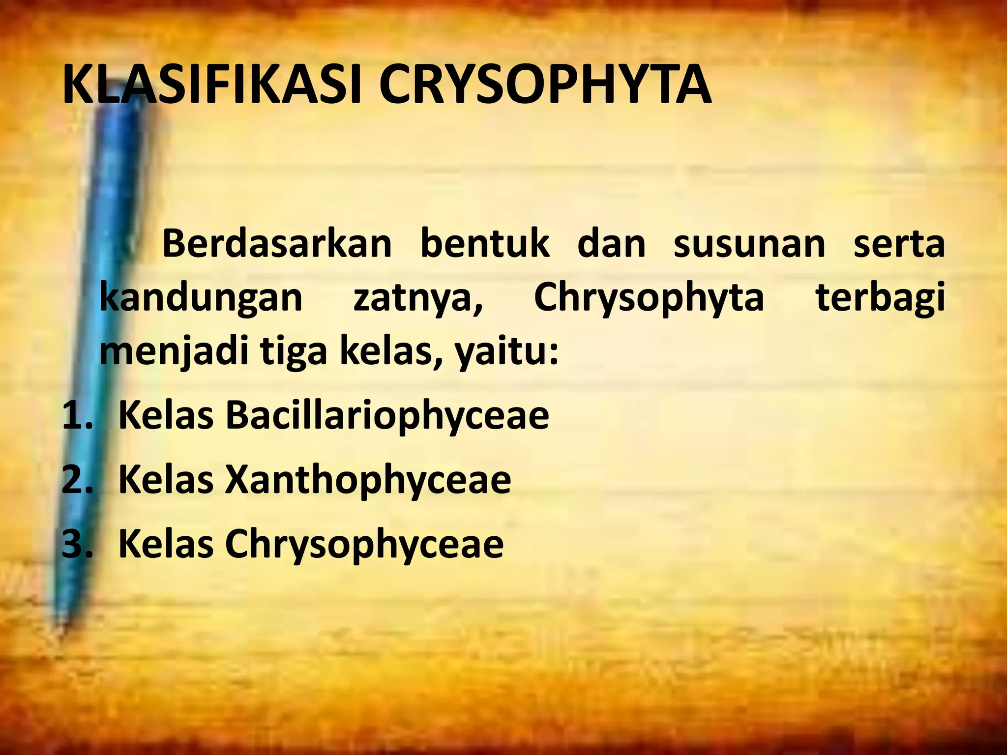 Ppt crysophyta kel.4 (bio protista) | PPT