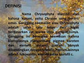 Ppt crysophyta kel.4 (bio protista) | PPTX