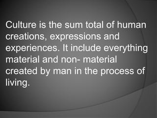 Culture and its characteristics | PPTX