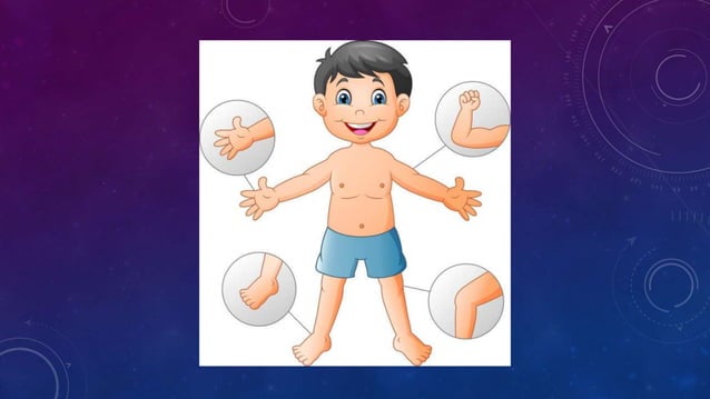 The human body, description and vocabulary | PPT