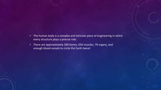 The human body, description and vocabulary | PPT