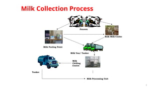 dairy disttibution in village PPT dairy.pptx