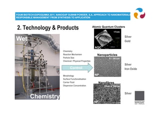Daniel Fernández - Nanogap’s approach to nanomaterials responsible management: from synthesis to ...