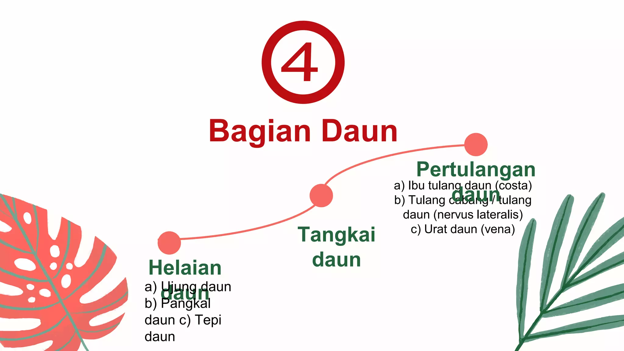 DAUN(morfologi).pptx | Free Download