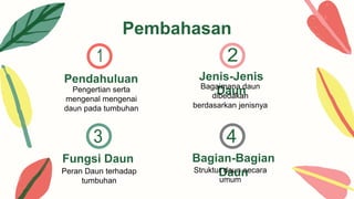 DAUN(morfologi).pptx