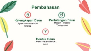 DAUN(morfologi).pptx