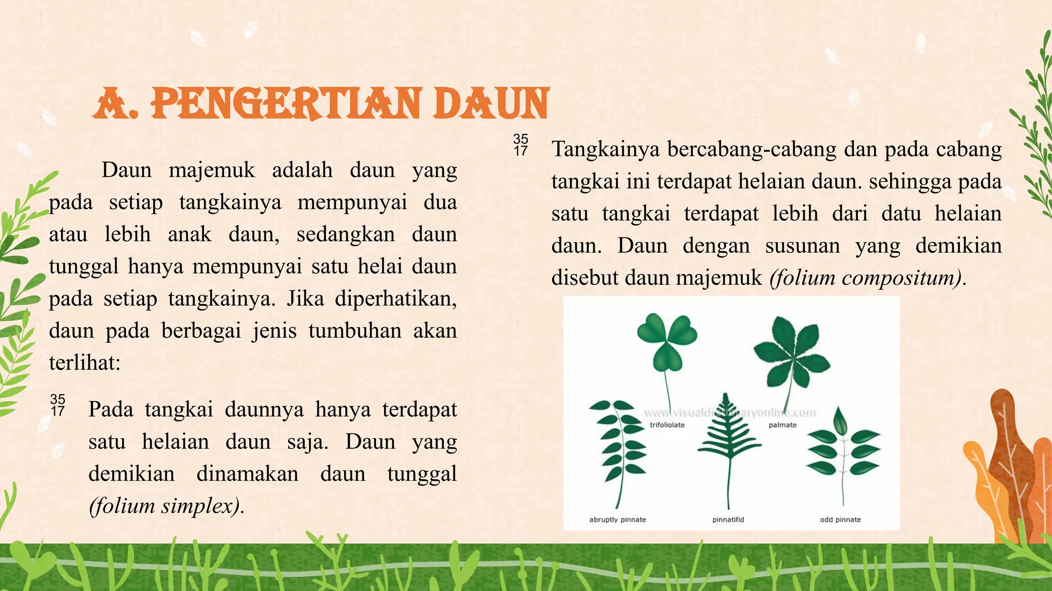morfologi daun dan bentuk daun pada tumbuhan | PPTX