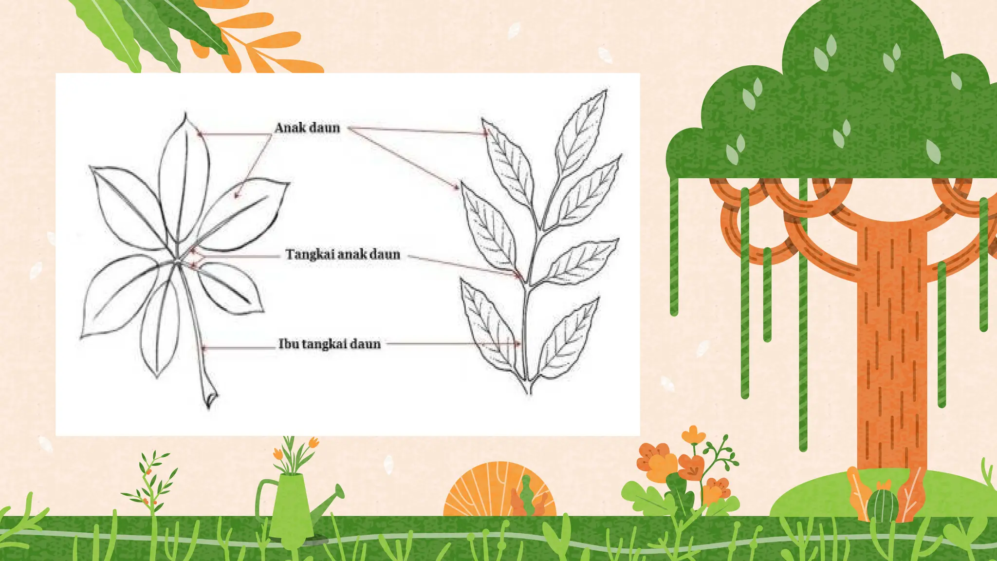 morfologi daun dan bentuk daun pada tumbuhan | PPTX