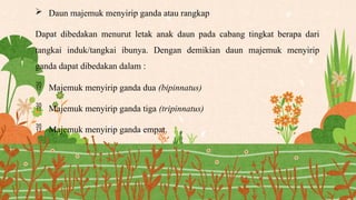 morfologi daun dan bentuk daun pada tumbuhan | PPTX
