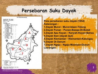 Suku Dayak | PPT