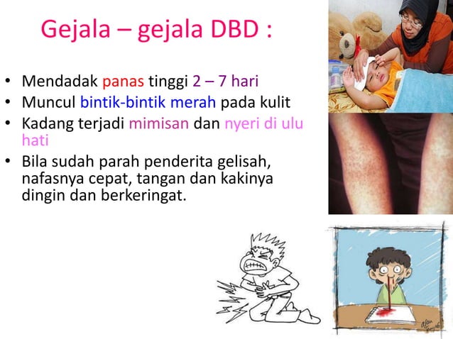 Ppt DBD | PPTX