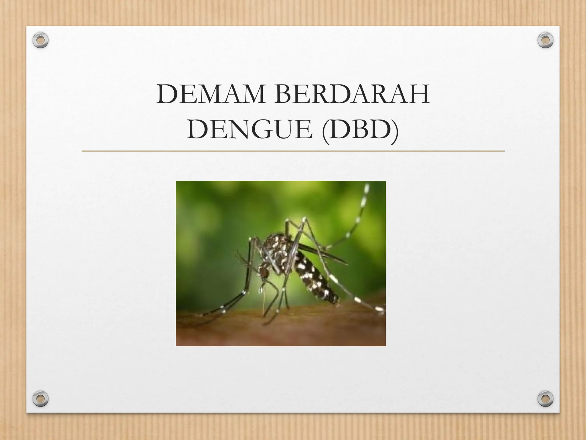PPT DBD.pptxmmmdemam berdarah dengue demam berdarah dengue | PPTX