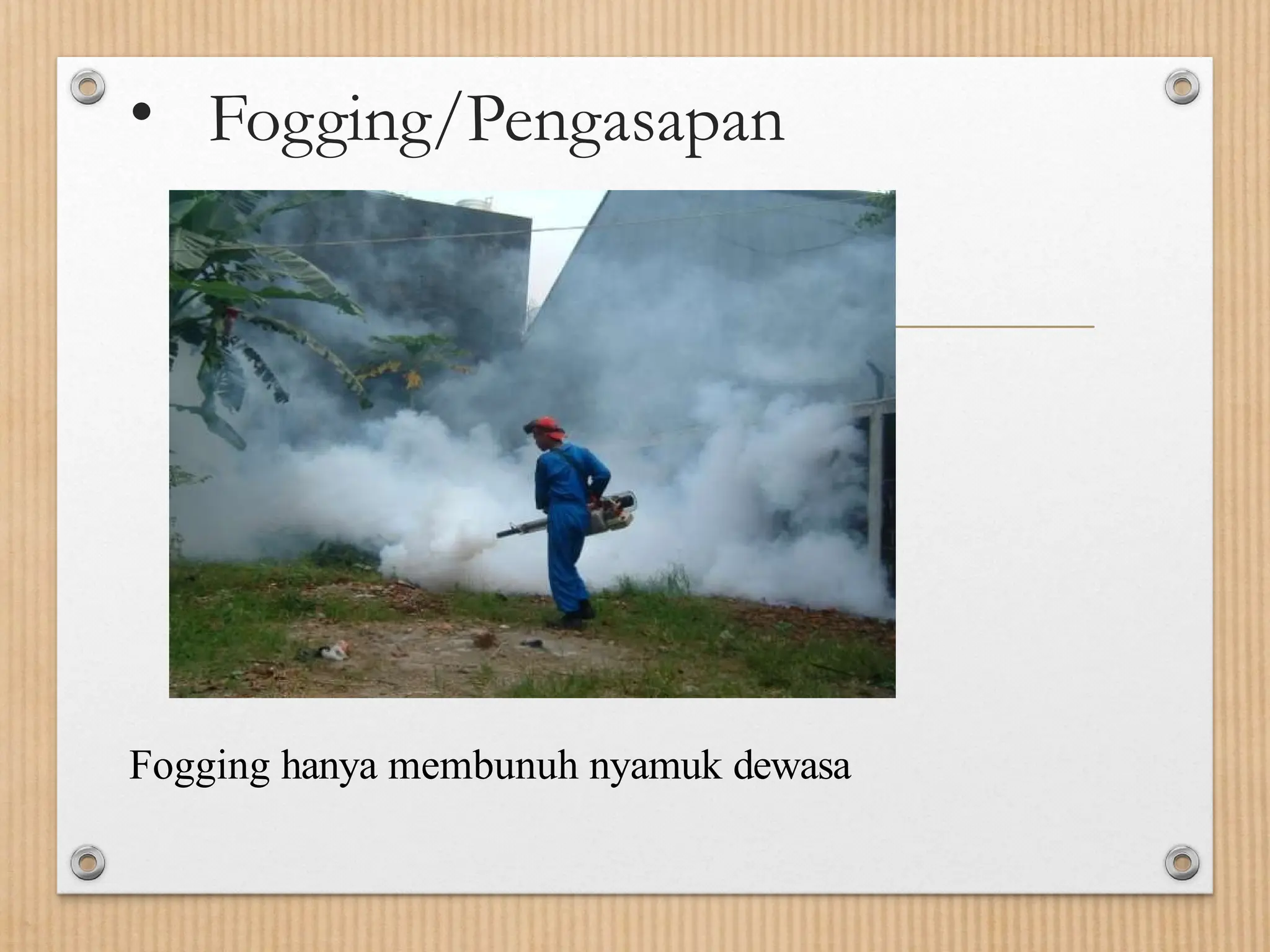 PPT DBD.pptxmmmdemam berdarah dengue demam berdarah dengue | PPTX