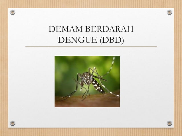 PPT DBD.pptxmmmdemam berdarah dengue demam berdarah dengue | PPTX