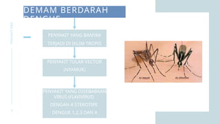 Paparan tentang DBD (Demam Berdarah Dengue) | PPT