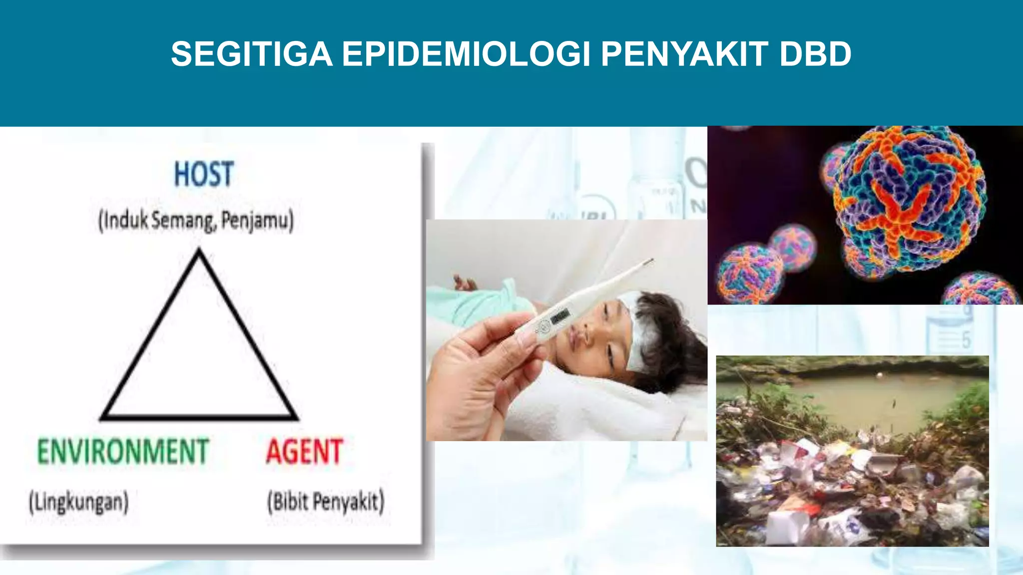 PPT DBD KELOMPOK 4.pptx