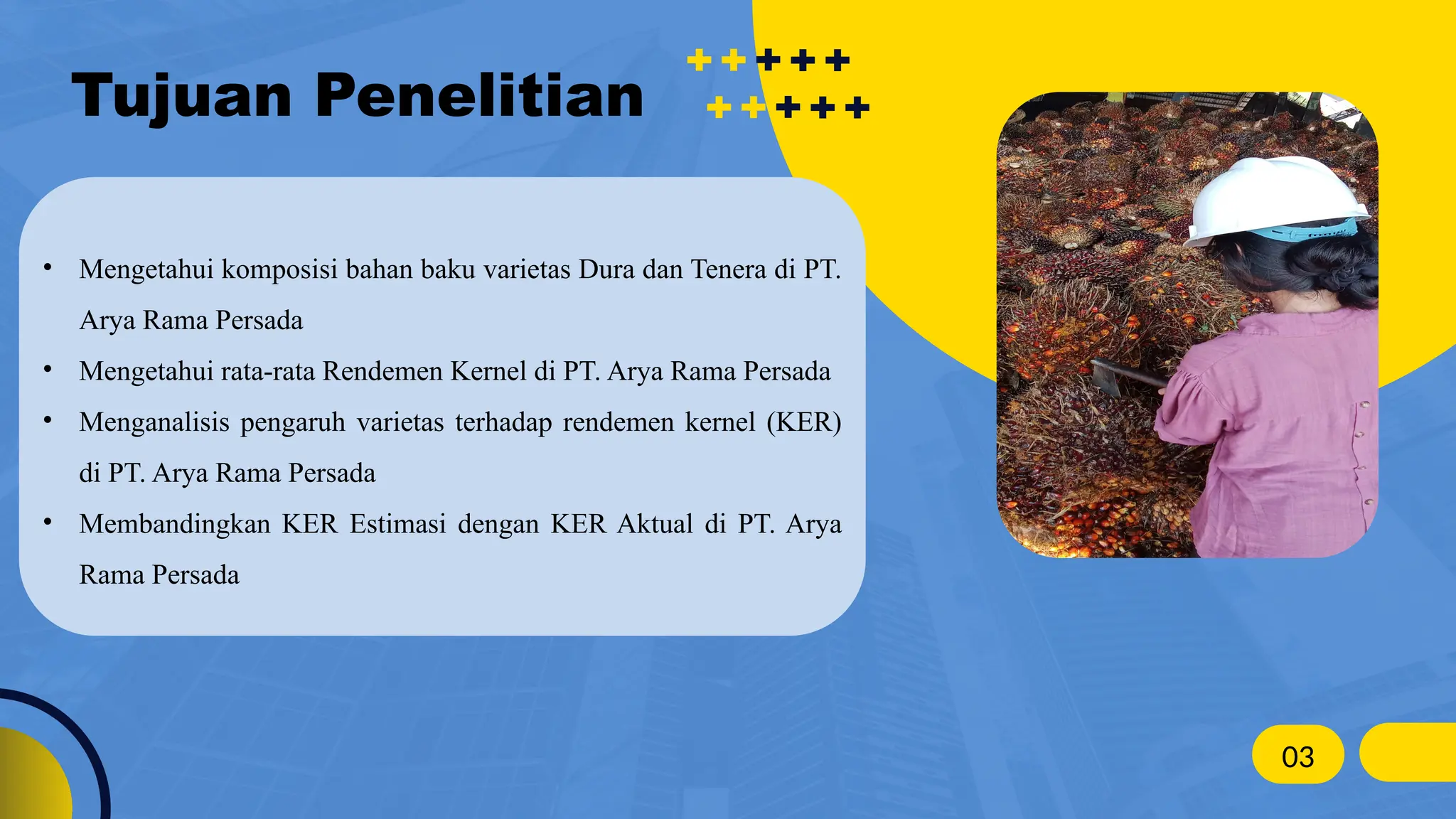 PPT PERSENTASE BAHAN BAKU VARIETAS DURA DAN TENERA TERHADAP RENDEMEN ...