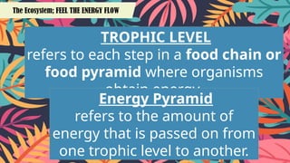 Trophic level: Energy Flow Grade 7 Science ppt demo.pptx