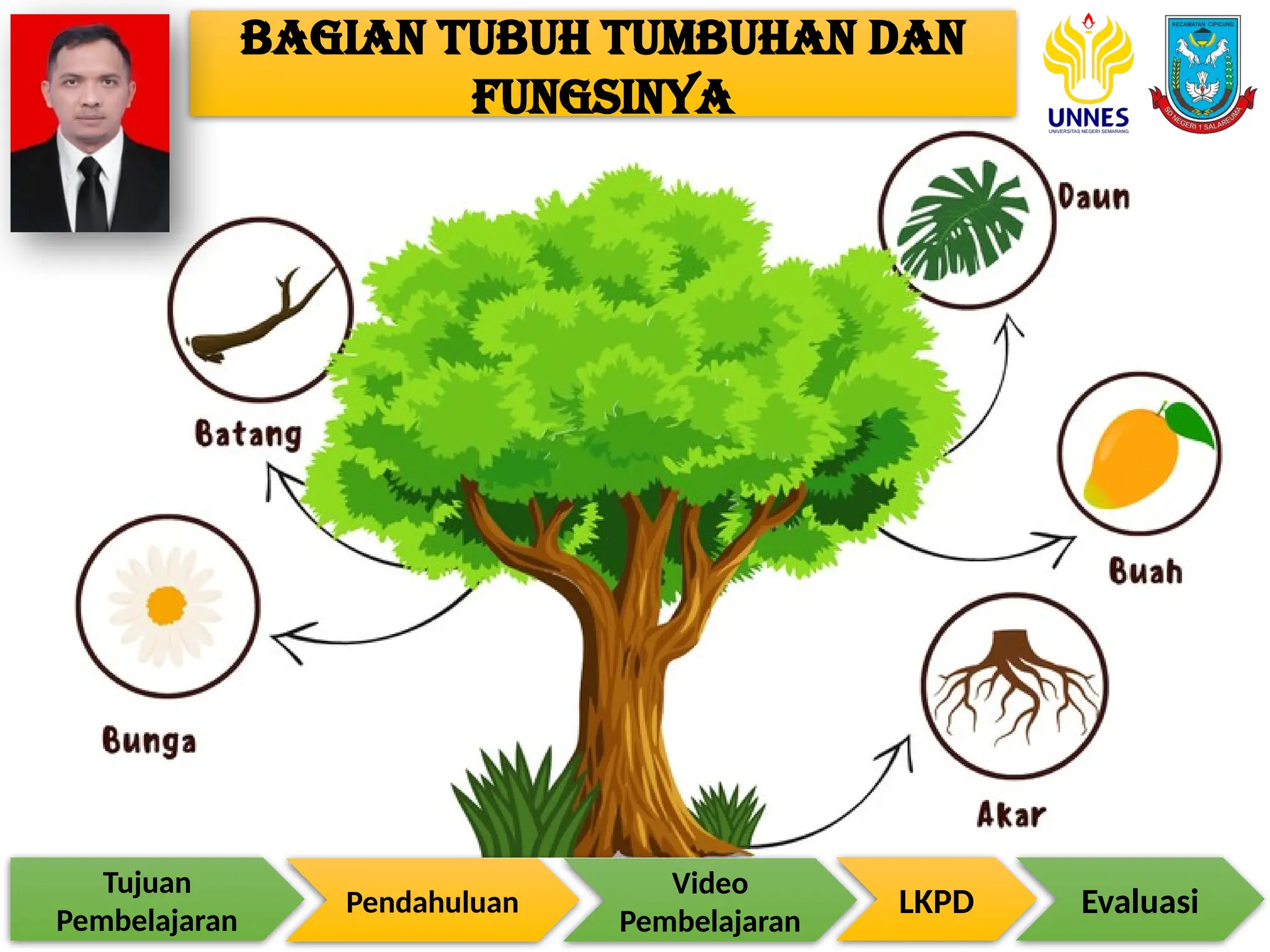 Bagian Tubuh Tumbuhan dan Fungsinya.pptx Bagian Tubuh Tumbuhan dan Fungsinya.pptx