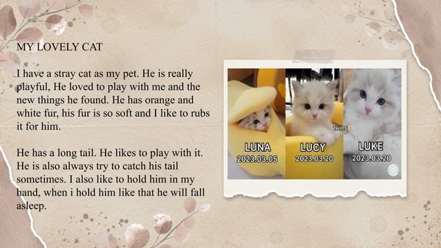 ppt descriptive text bahasa inggris kelas x | PPTX | Cats | Pets