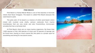 ppt descriptive text bahasa inggris kelas x | PPTX