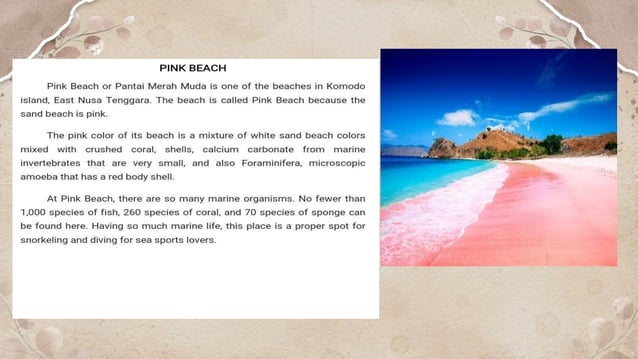 ppt descriptive text bahasa inggris kelas x | PPTX | Cats | Pets