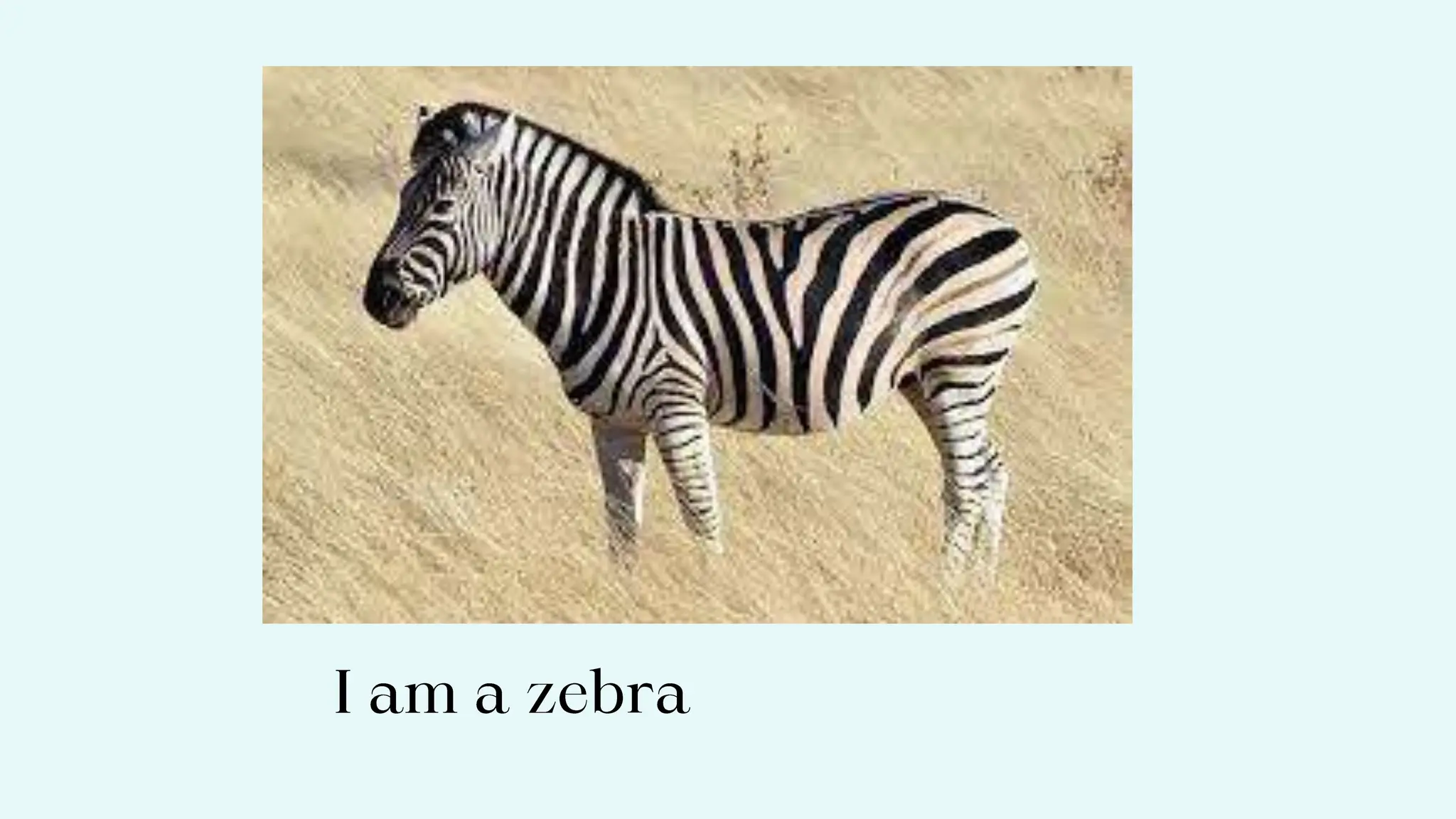 PPT DESCRIBING ANIMALS.pptx berisi tentang descriptive text | PPTX