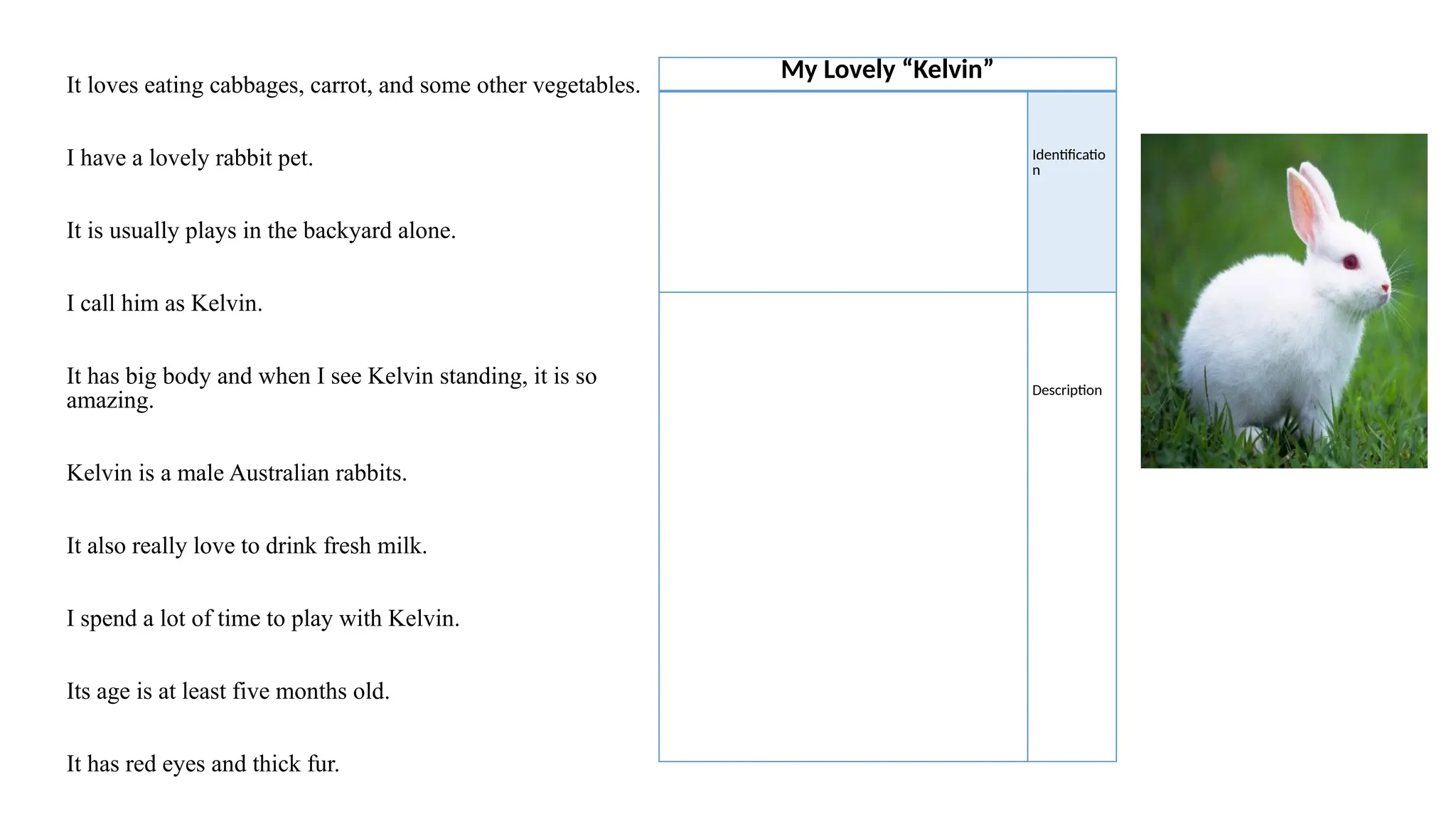 ppt descriptive text structure Describing animals simple descriptive ...