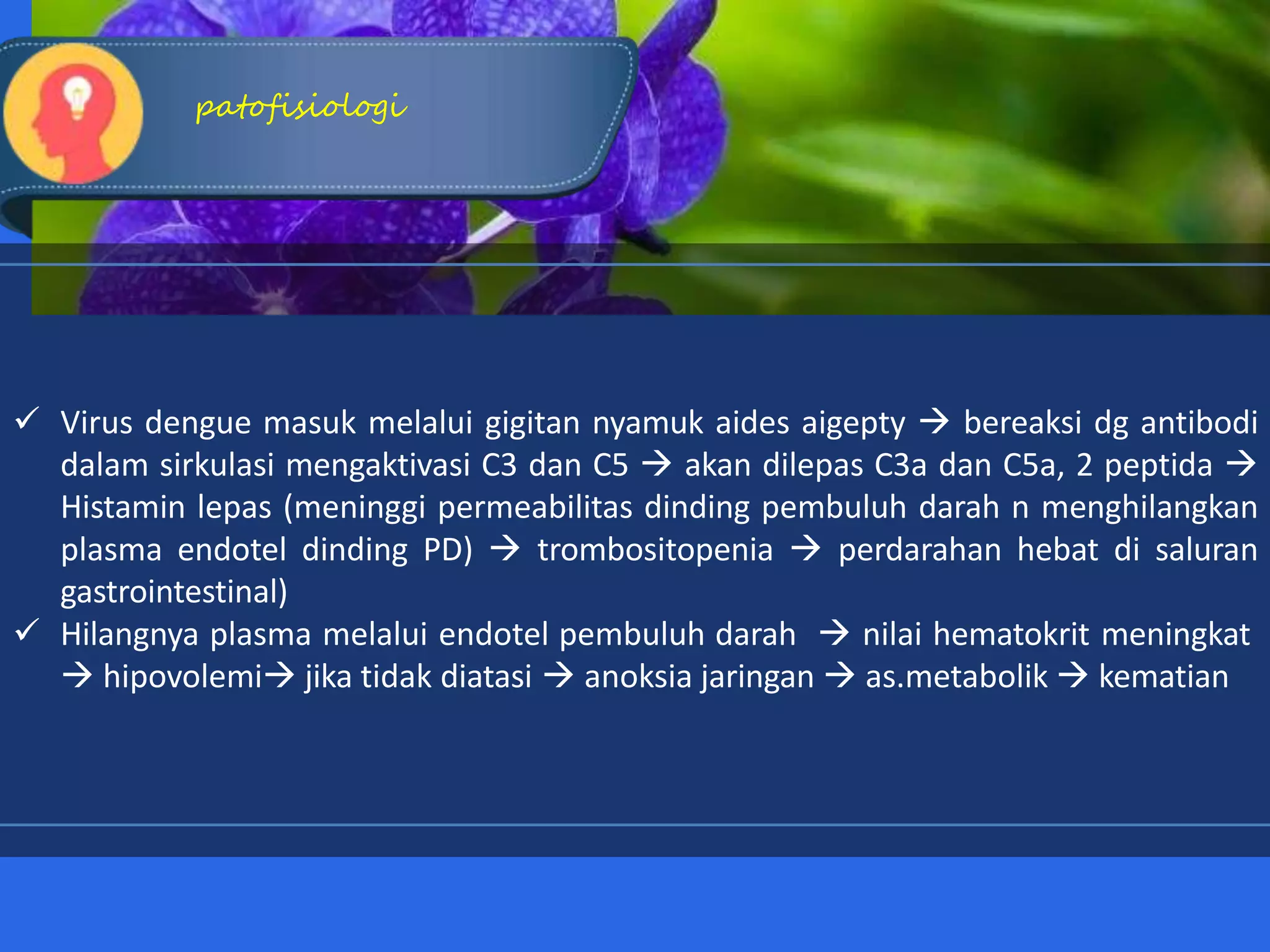 PPT DHF PADA ANAK.pptx