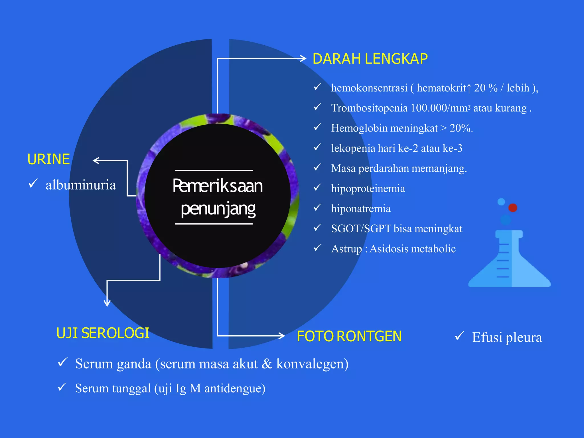 PPT DHF PADA ANAK.pptx