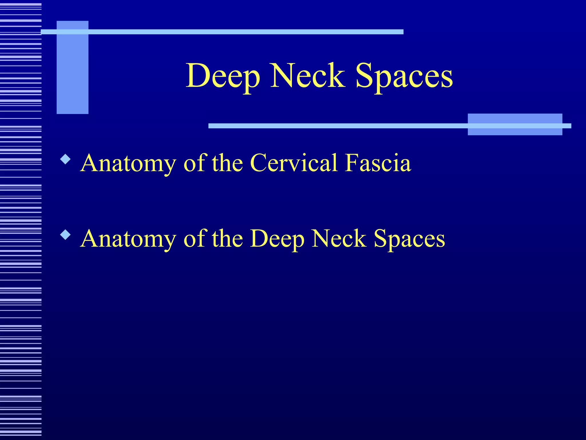 Ppt dhni anat mirvakili | PPT