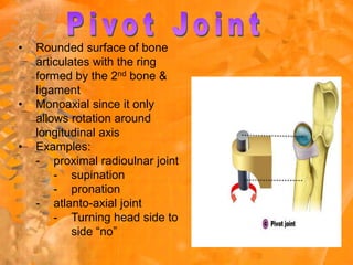 Diarthrotic Joints | PPTX