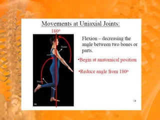 Diarthrotic Joints | PPTX