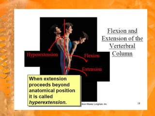 Diarthrotic Joints | PPTX