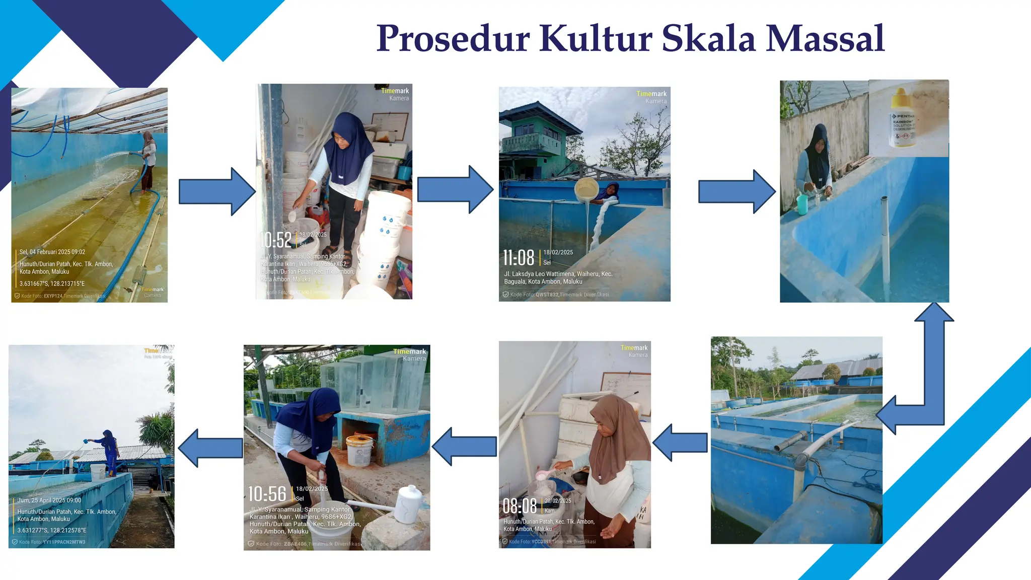 PPT DI Balai Perikanan BL AMBON_KARMILA.pptx