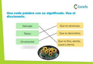 PPT_ Diccionario.pptx para tercer grado de primaria. | PPTX