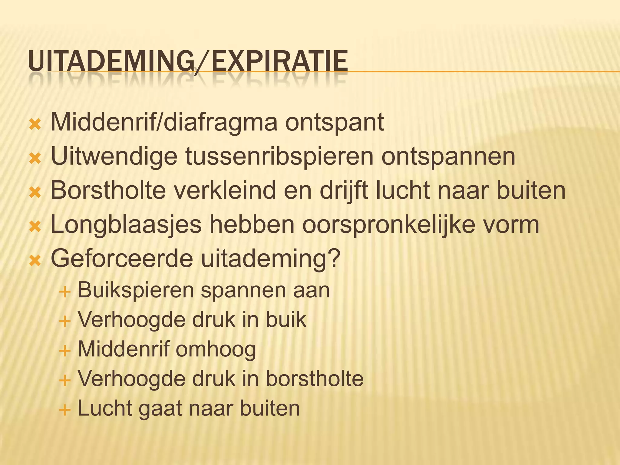 Ademhalingsstelsel | PPTX