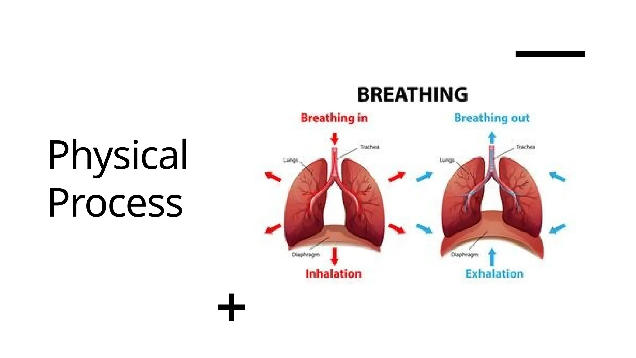 ppt Differential Learning Breathing .pptx