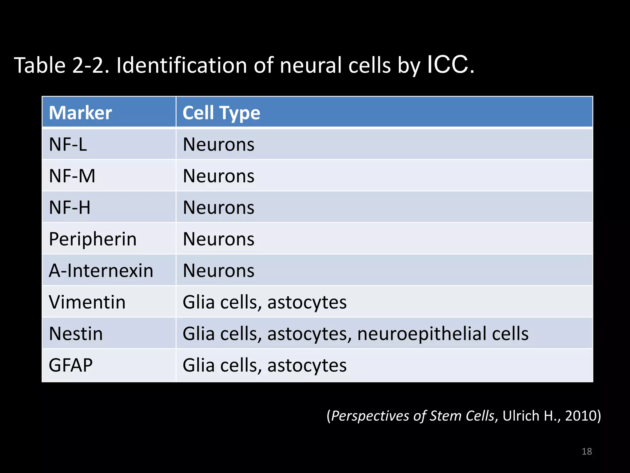 Differentiation of neural_cells_in_human_embryonic_stem | PDF