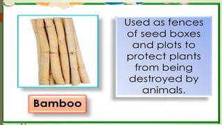 PPT_Different tools, supplies and materials in performing plant ...