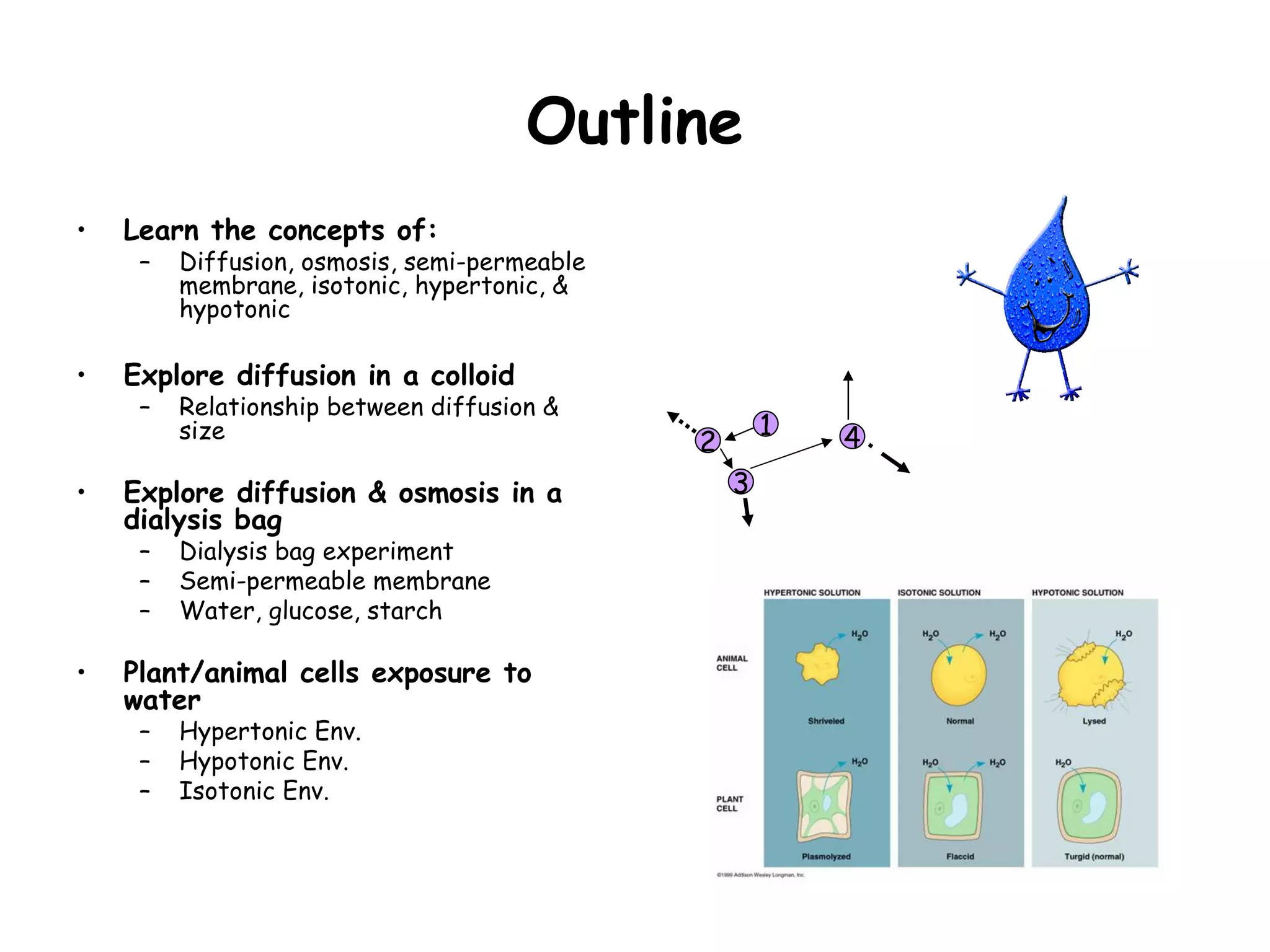 Ppt diffusion and osmosis | PPT