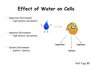 Ppt diffusion and osmosis | PPT